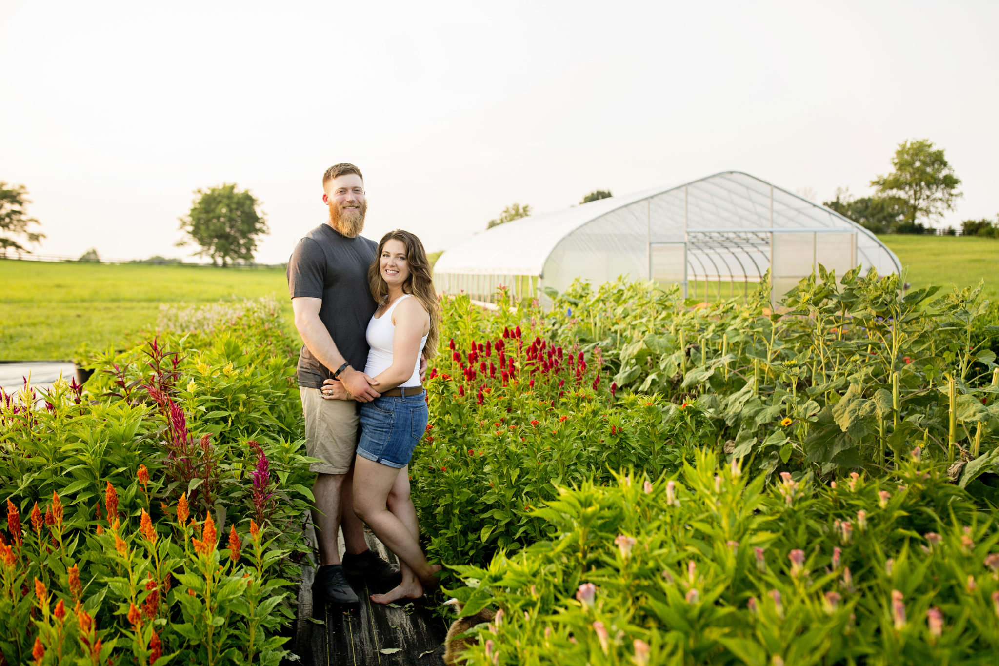 Our Story – Wild Roots