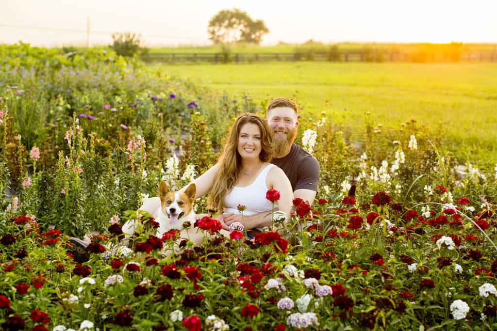 Our Story – Wild Roots